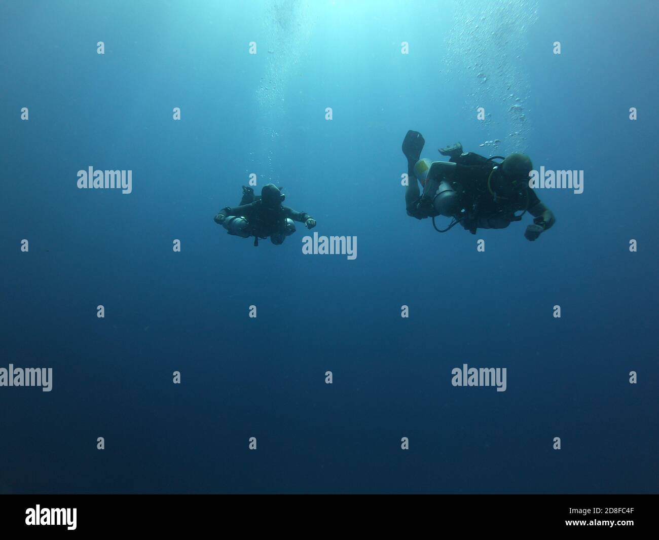 Amazing shot of scuba divers swimming underwater Stock Photo - Alamy