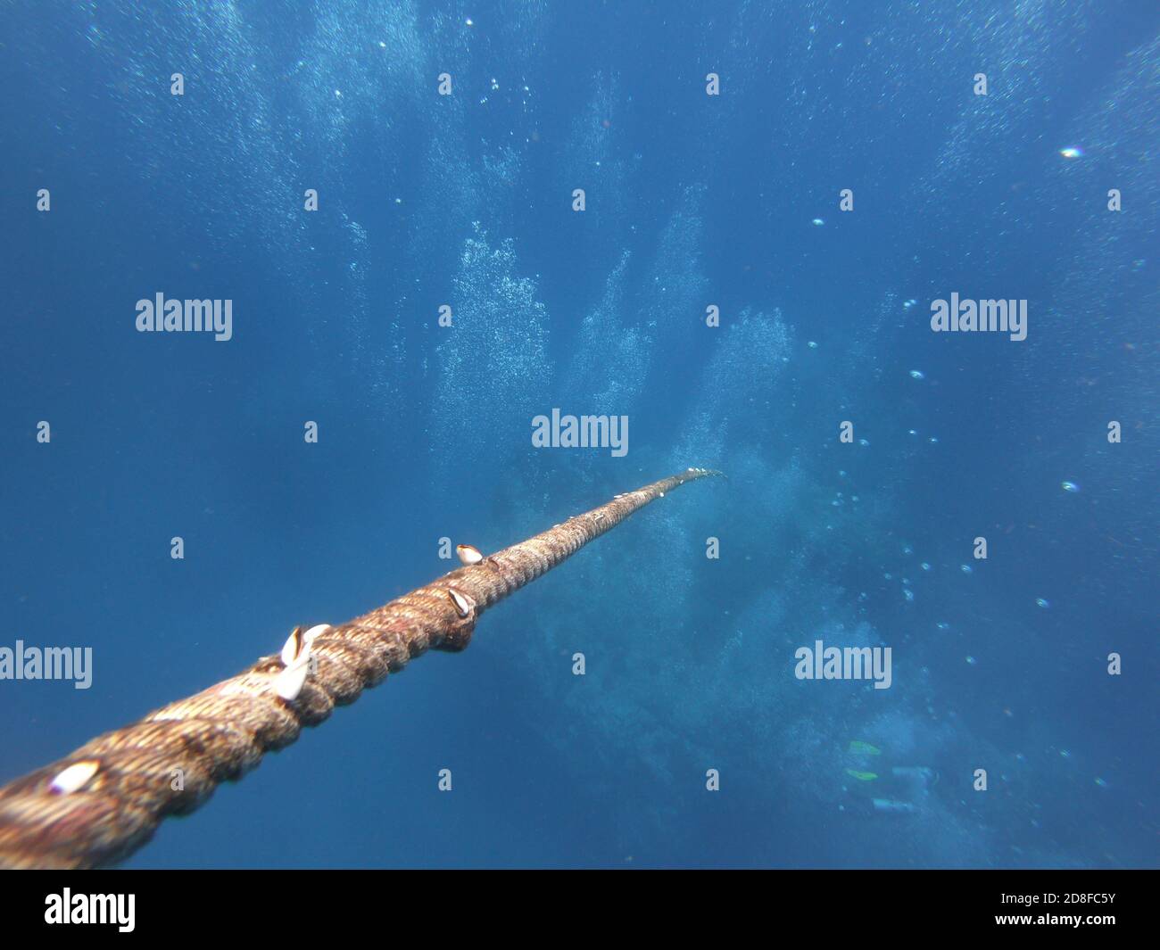 Below water line hi-res stock photography and images - Alamy