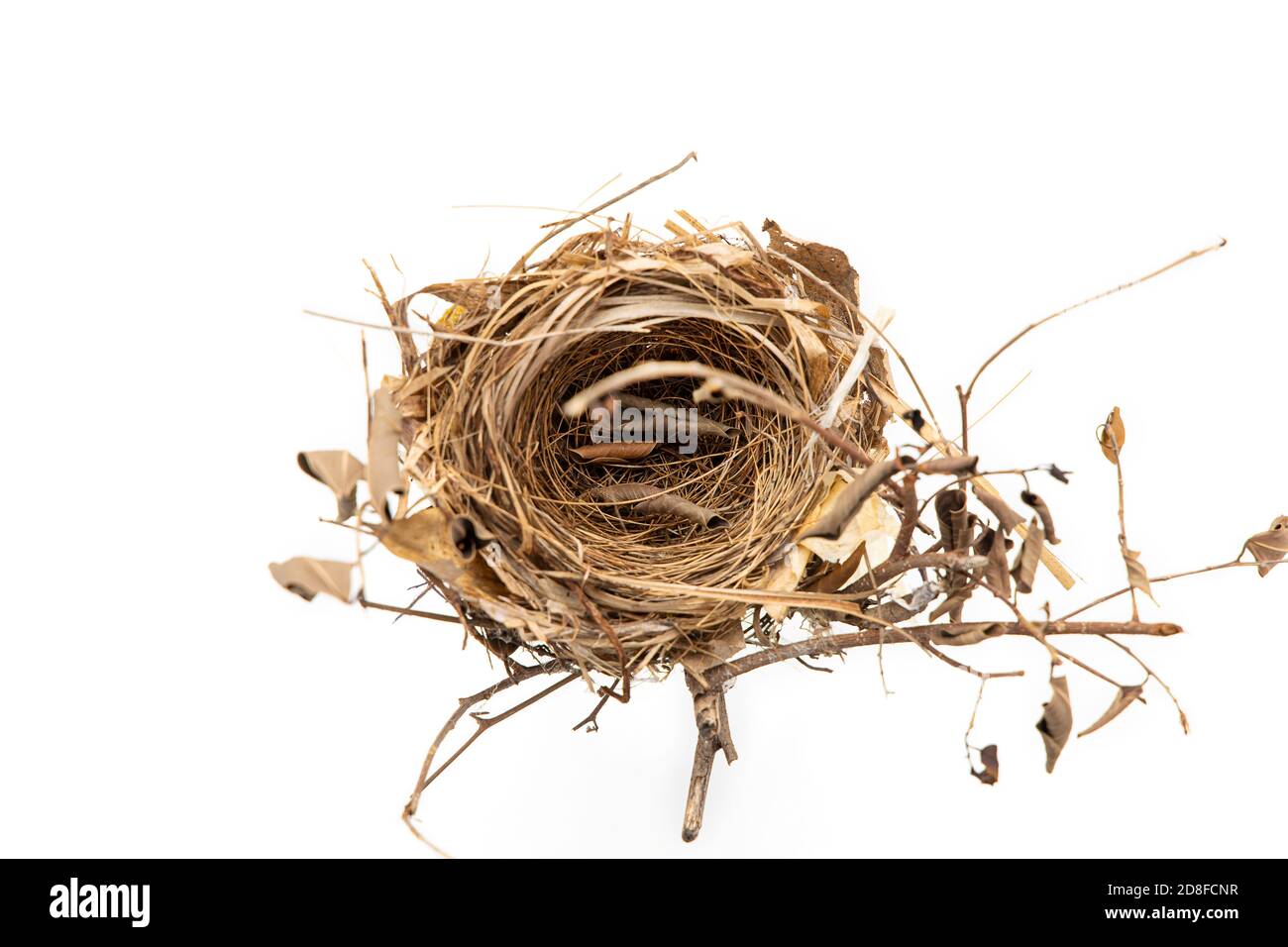 Real bird nest isolated on white background Stock Photo - Alamy