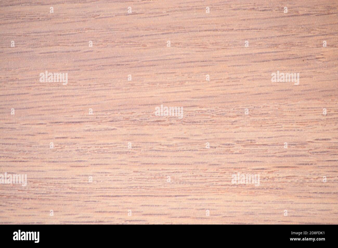 Light ash, rich drawing of natural light wood close-up. Background ...