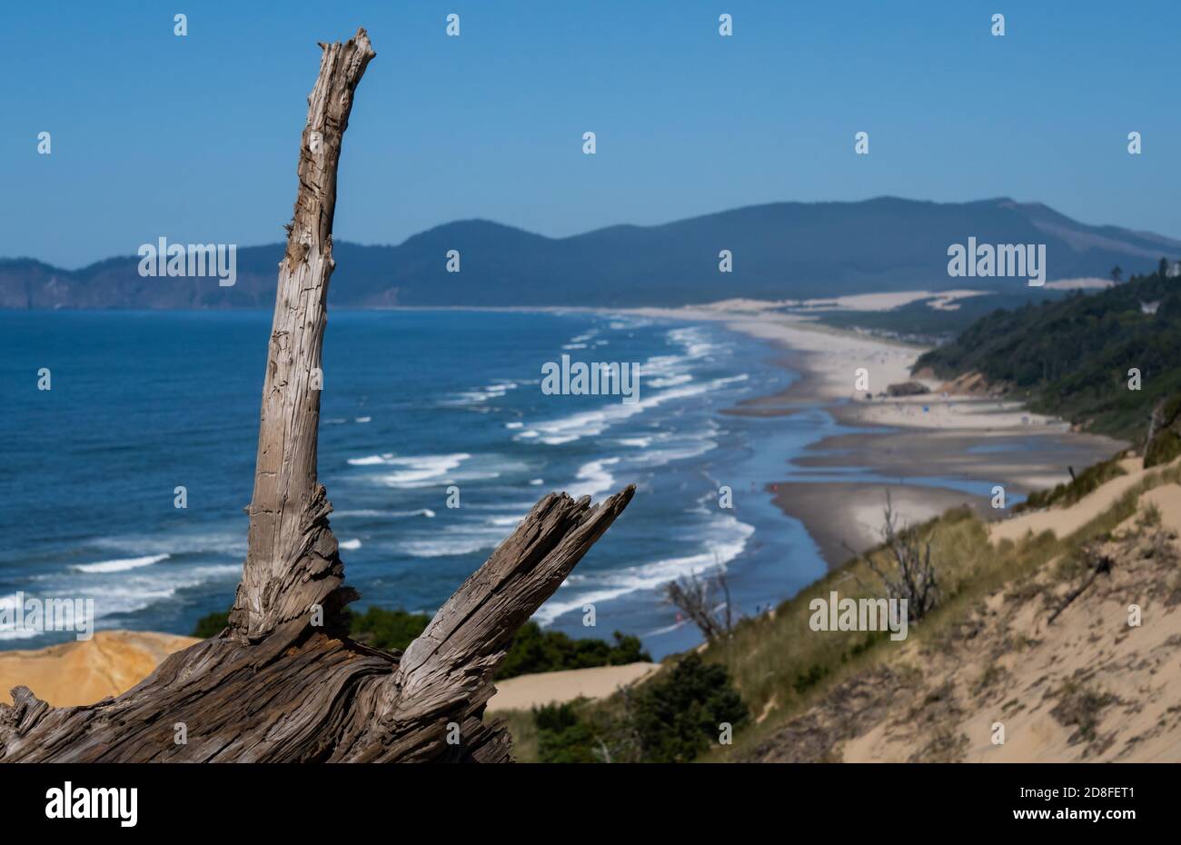 A scene from the hill at Pacific City Oregon coast Stock Photo - Alamy