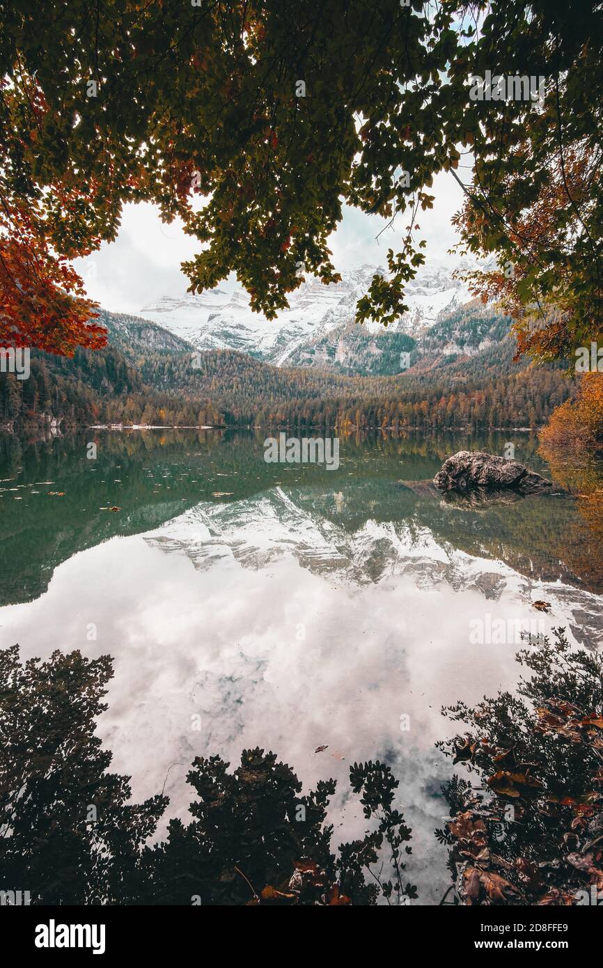Vertical shot of the Lago di Tovel lake of Italy in autumn Stock Photo ...