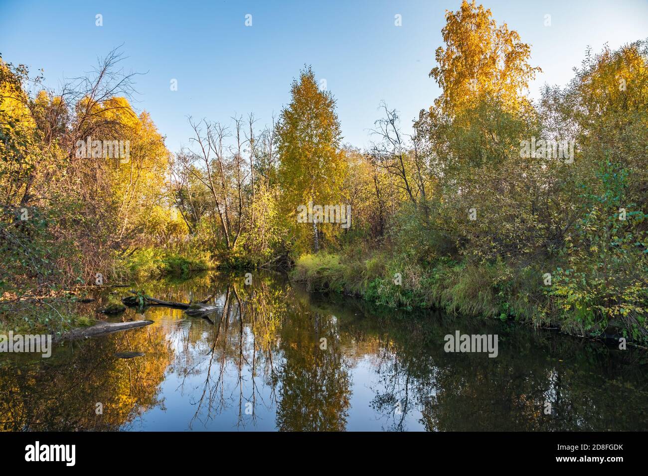 Autumn forest is reflected in the water of river. Autumnal forest near ...