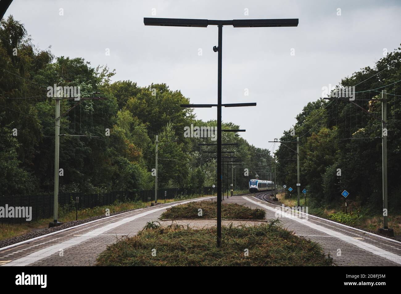 Train tracks surrounded by trees in the forest Stock Photo - Alamy