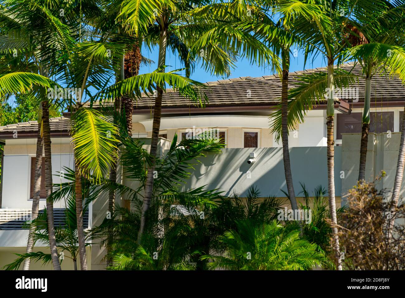 House covered with palm tree shade Stock Photo - Alamy