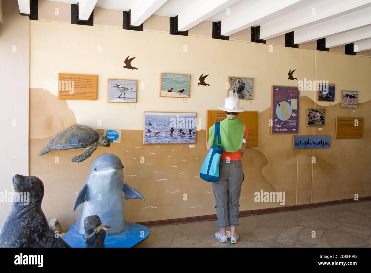 Museum at Reserva Nacional De Paracas, Greater Pisco City, Ica Region ...
