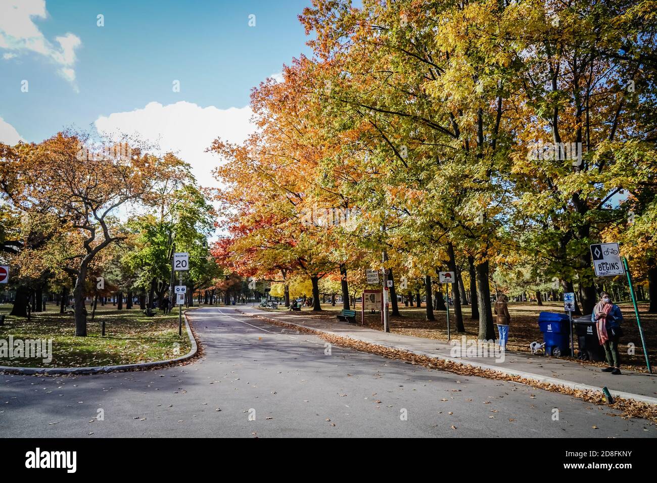 colorful trees inside high park toronto, a large urban park within the ...