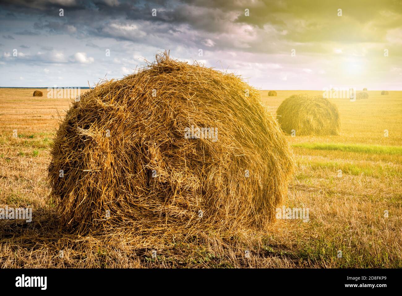 Twisted haystack on agriculture field landscape Stock Photo - Alamy