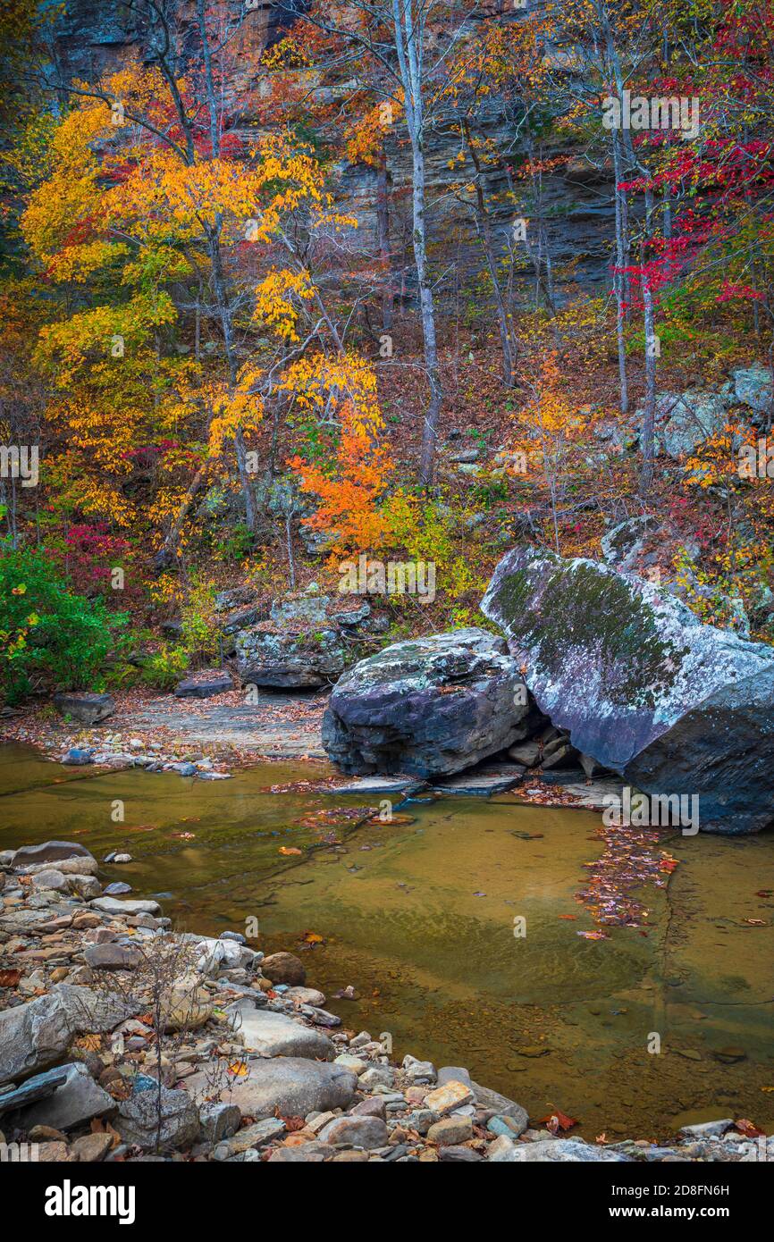 Ozark Mountains Fall