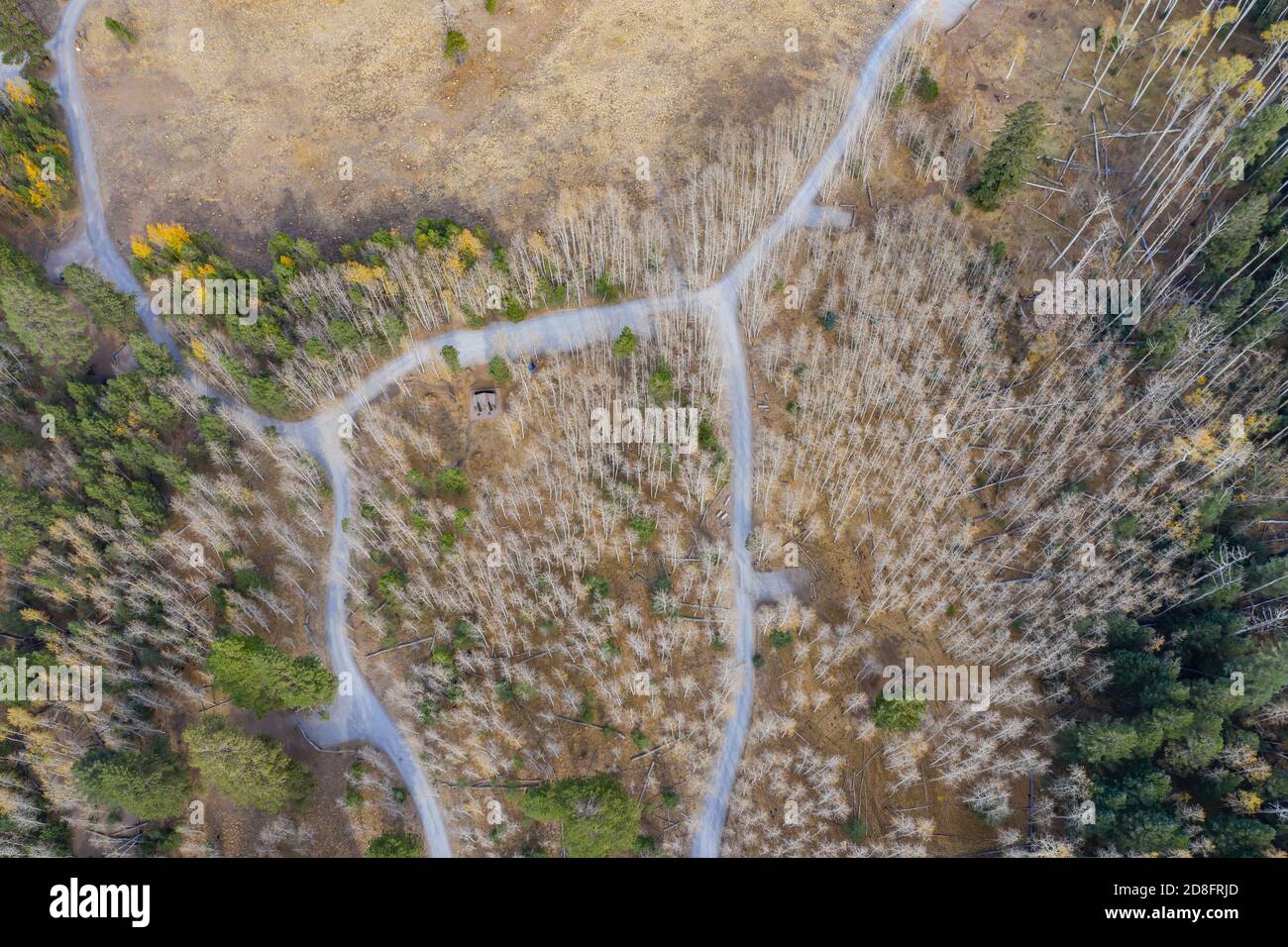 Aerial view of the beautiful landscape of Inner Basin area at Flagstaff ...