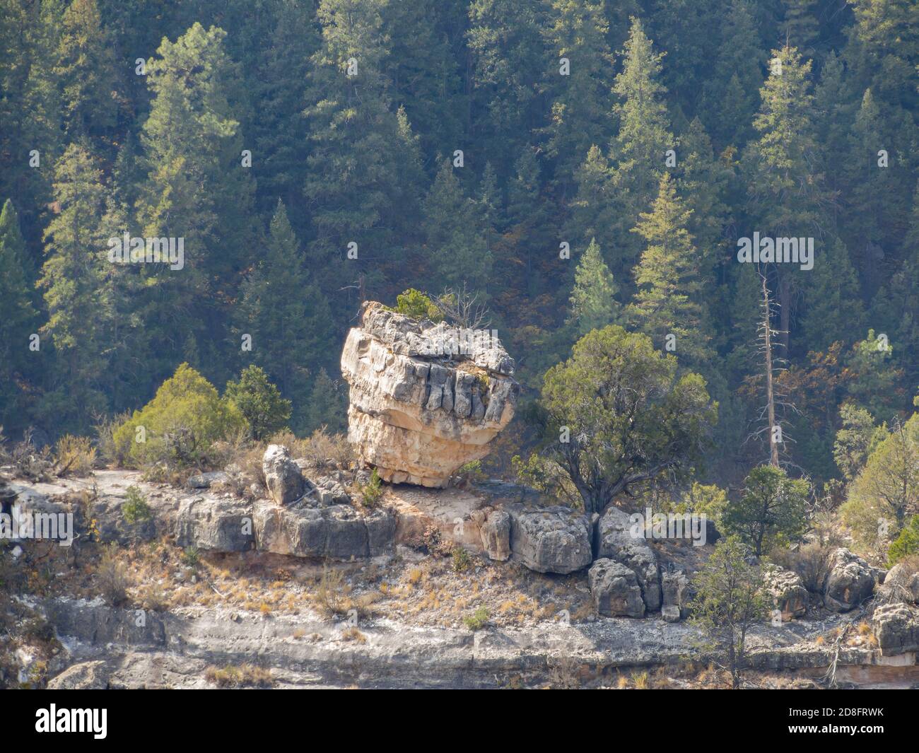 Sunny view of the Walnut Canyon National Monument at Arizona Stock ...