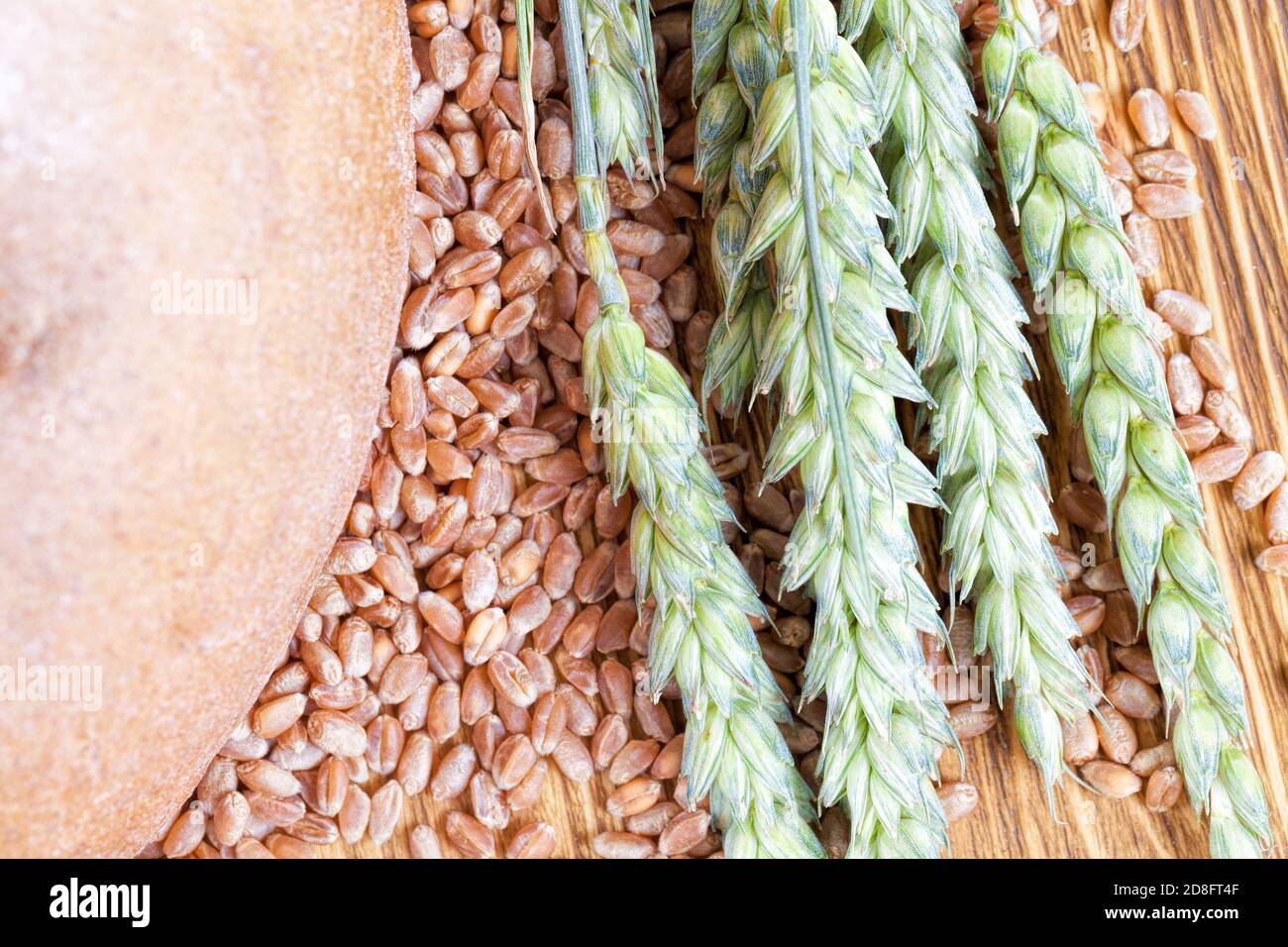 wheat or rye grain from which bread Stock Photo - Alamy