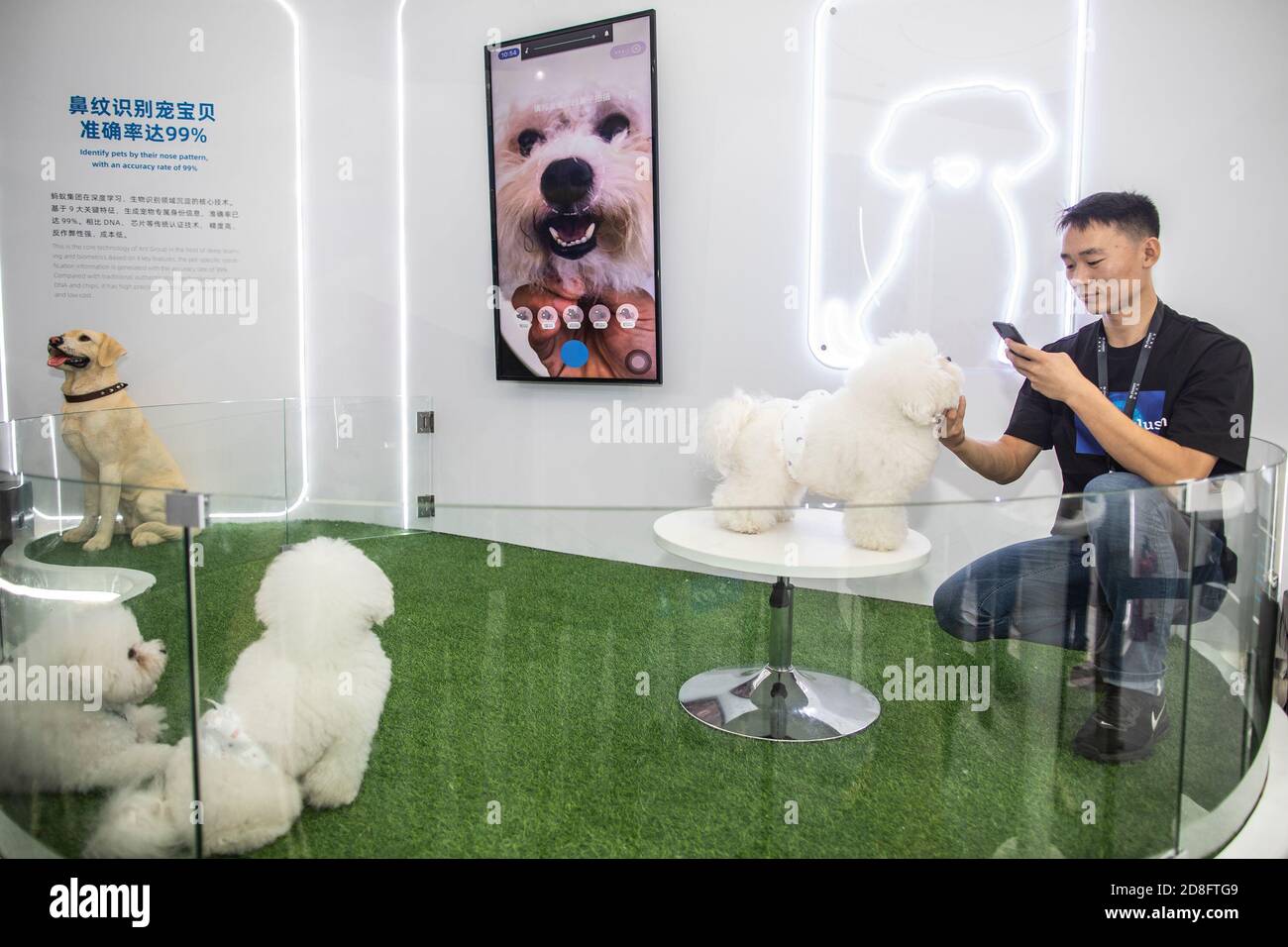 A person recognizes a dog by using dog nose print recognition ...