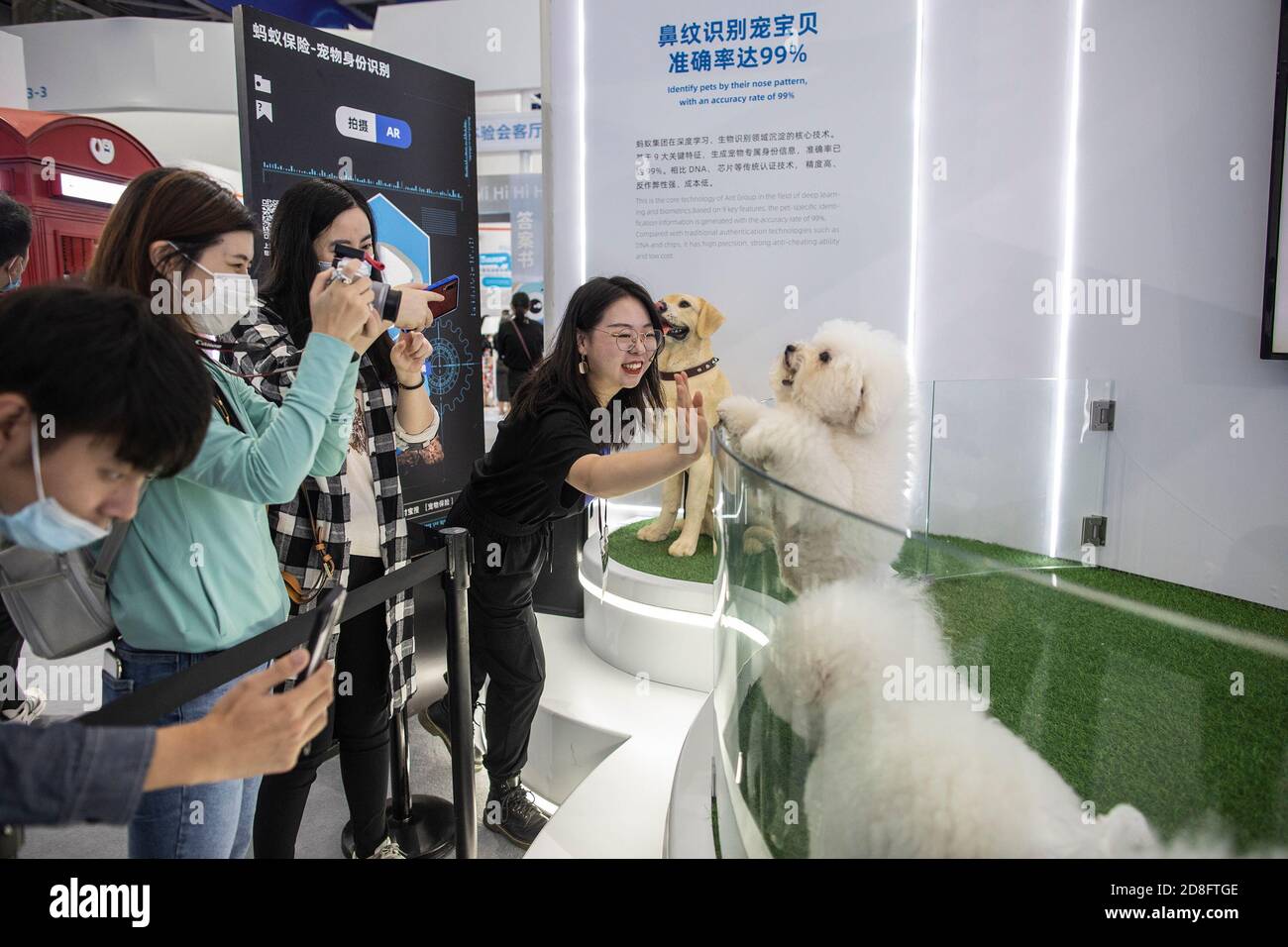 A person recognizes a dog by using dog nose print recognition ...