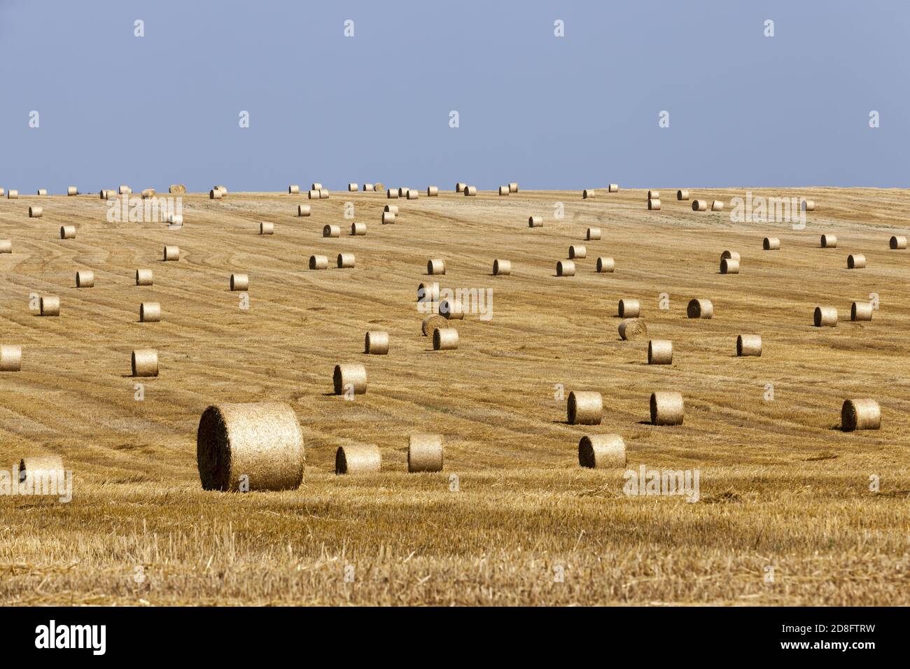 agricultural field with straw stacks Stock Photo - Alamy