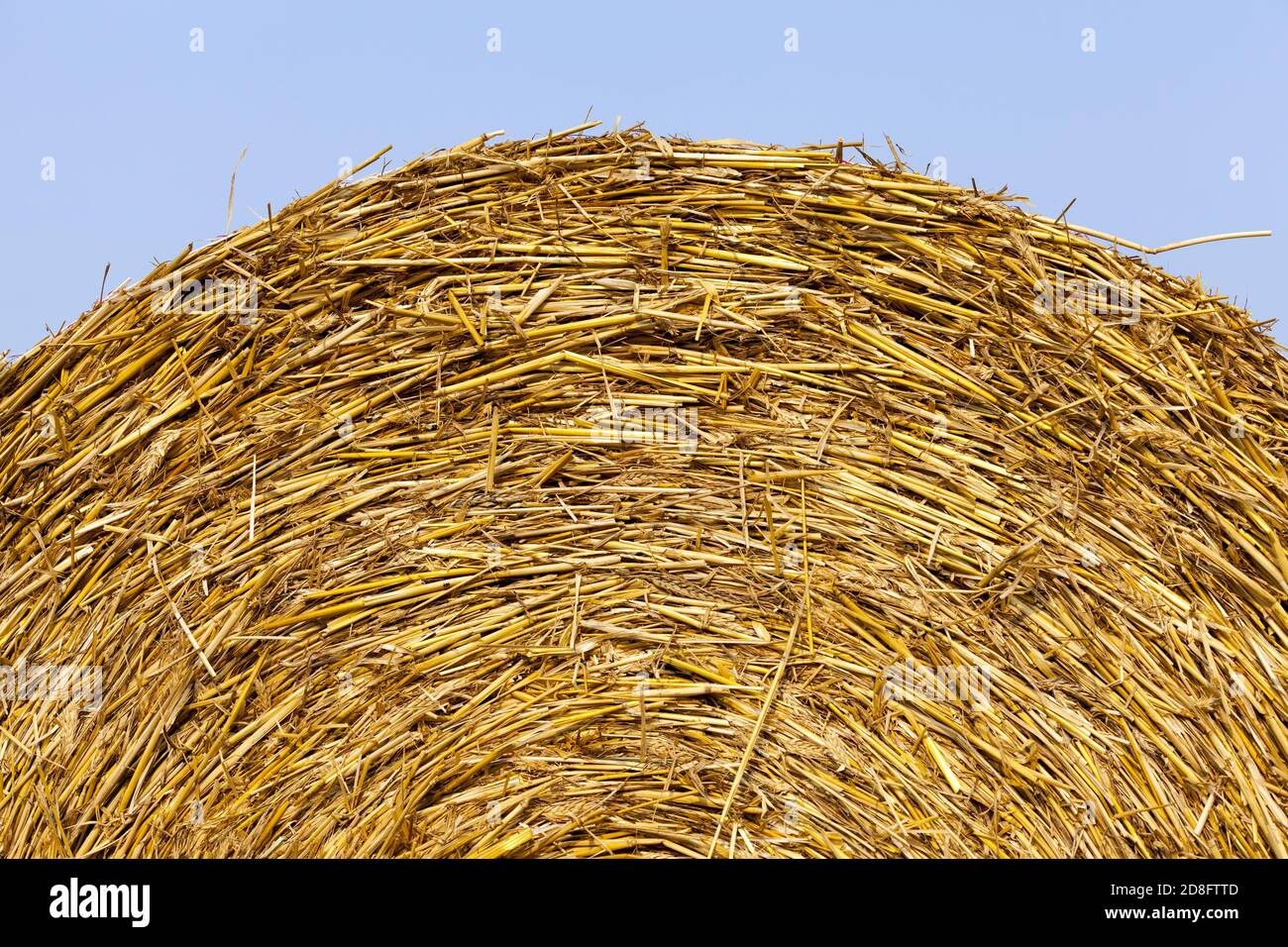 agricultural field with straw stacks Stock Photo - Alamy