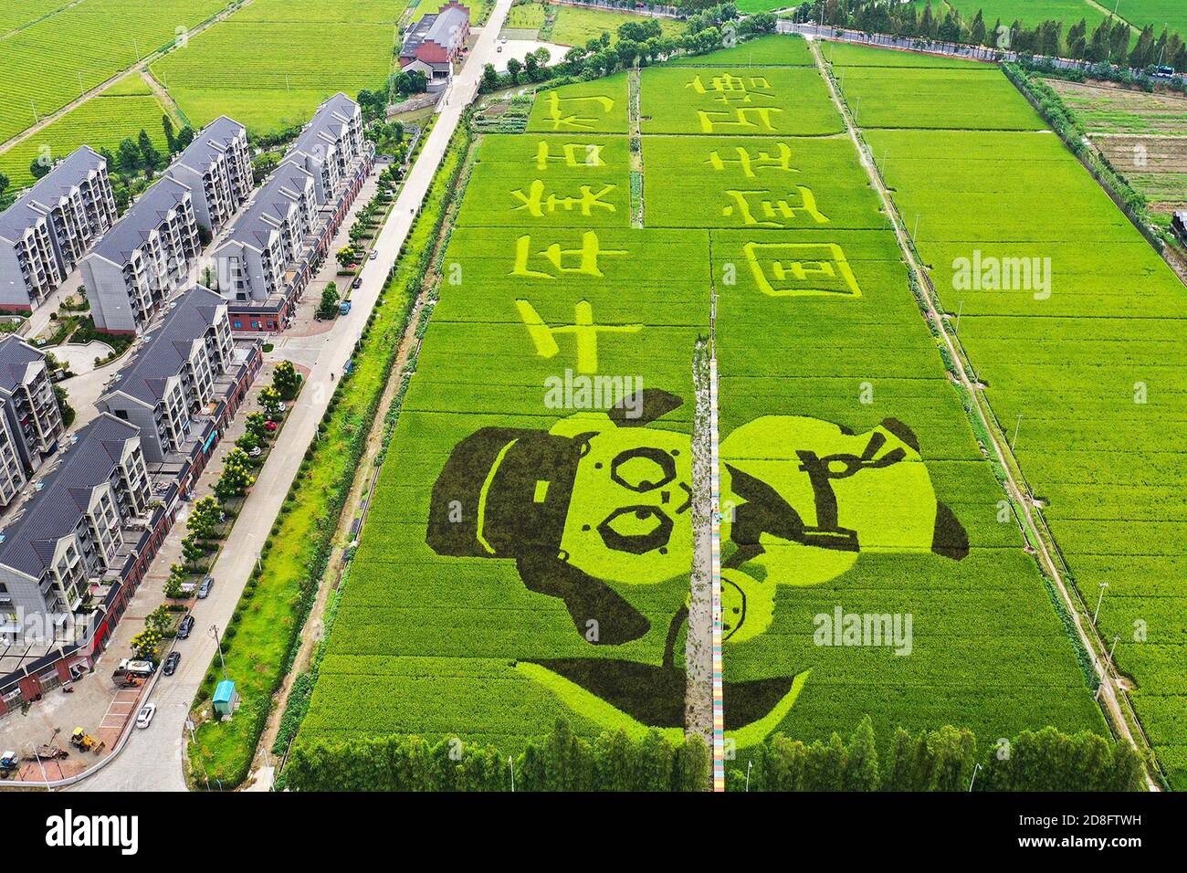 Paddy field art hi-res stock photography and images - Alamy