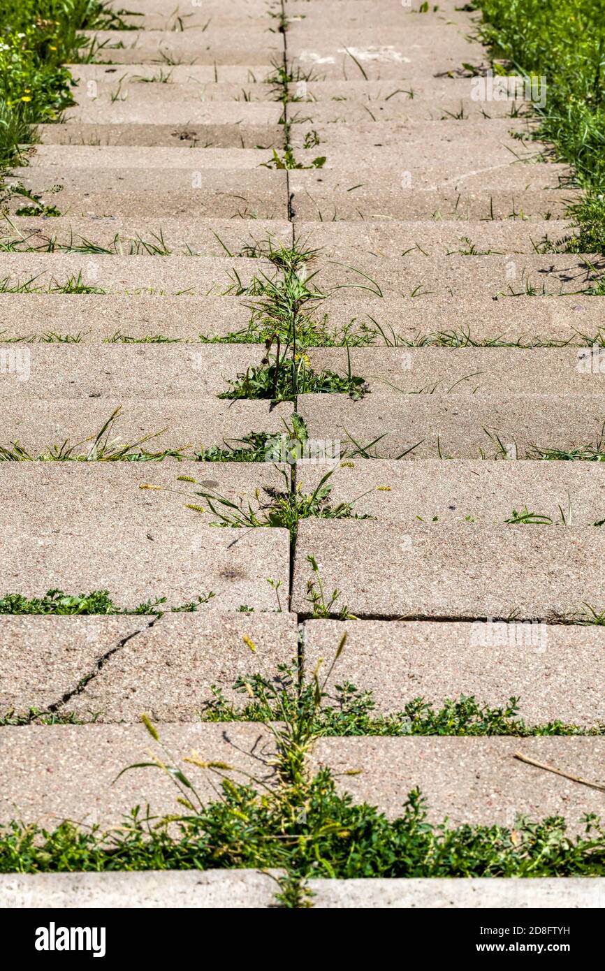 ordinary simple stairs Stock Photo - Alamy