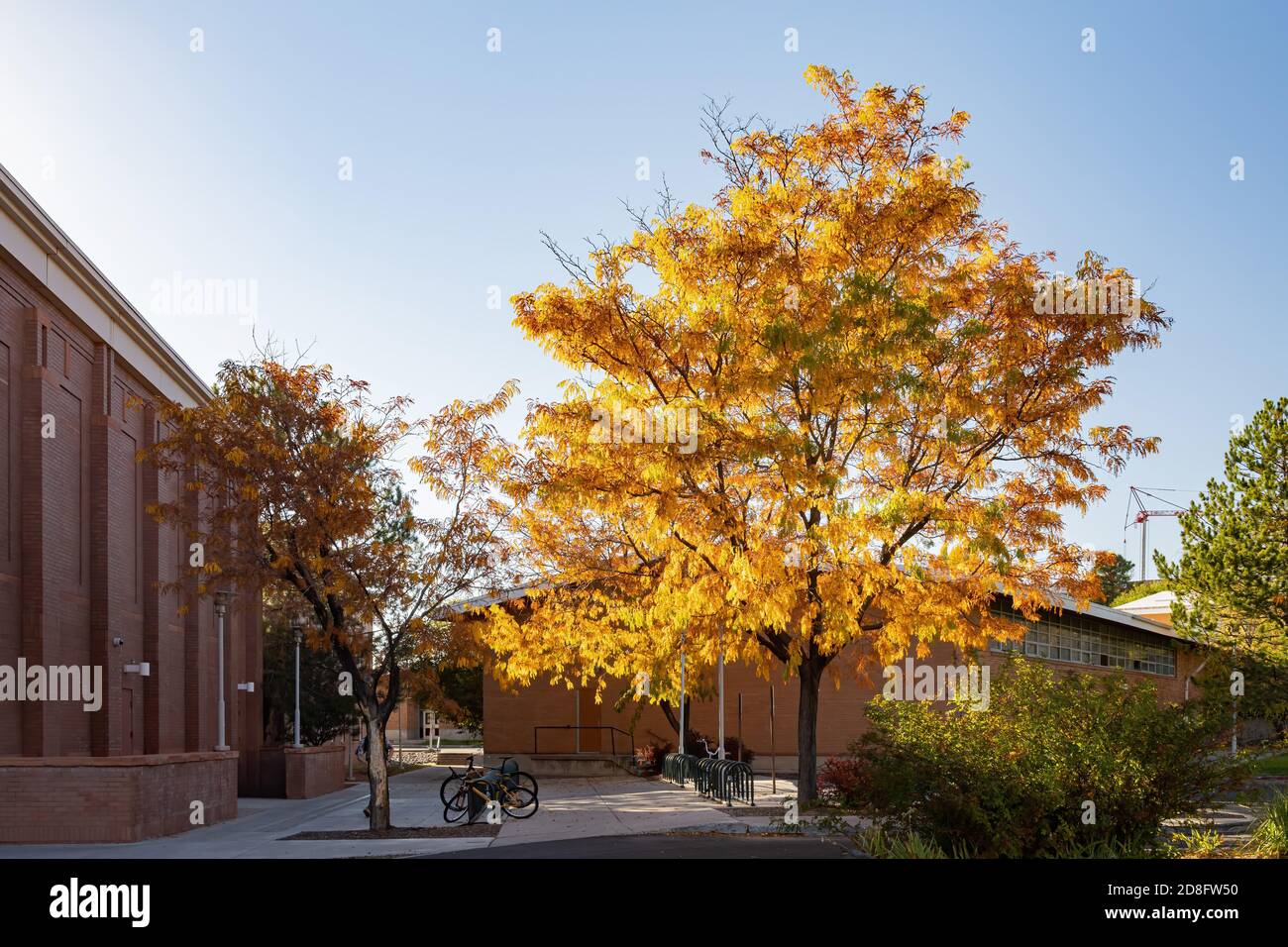 University of northern arizona hi-res stock photography and images - Alamy