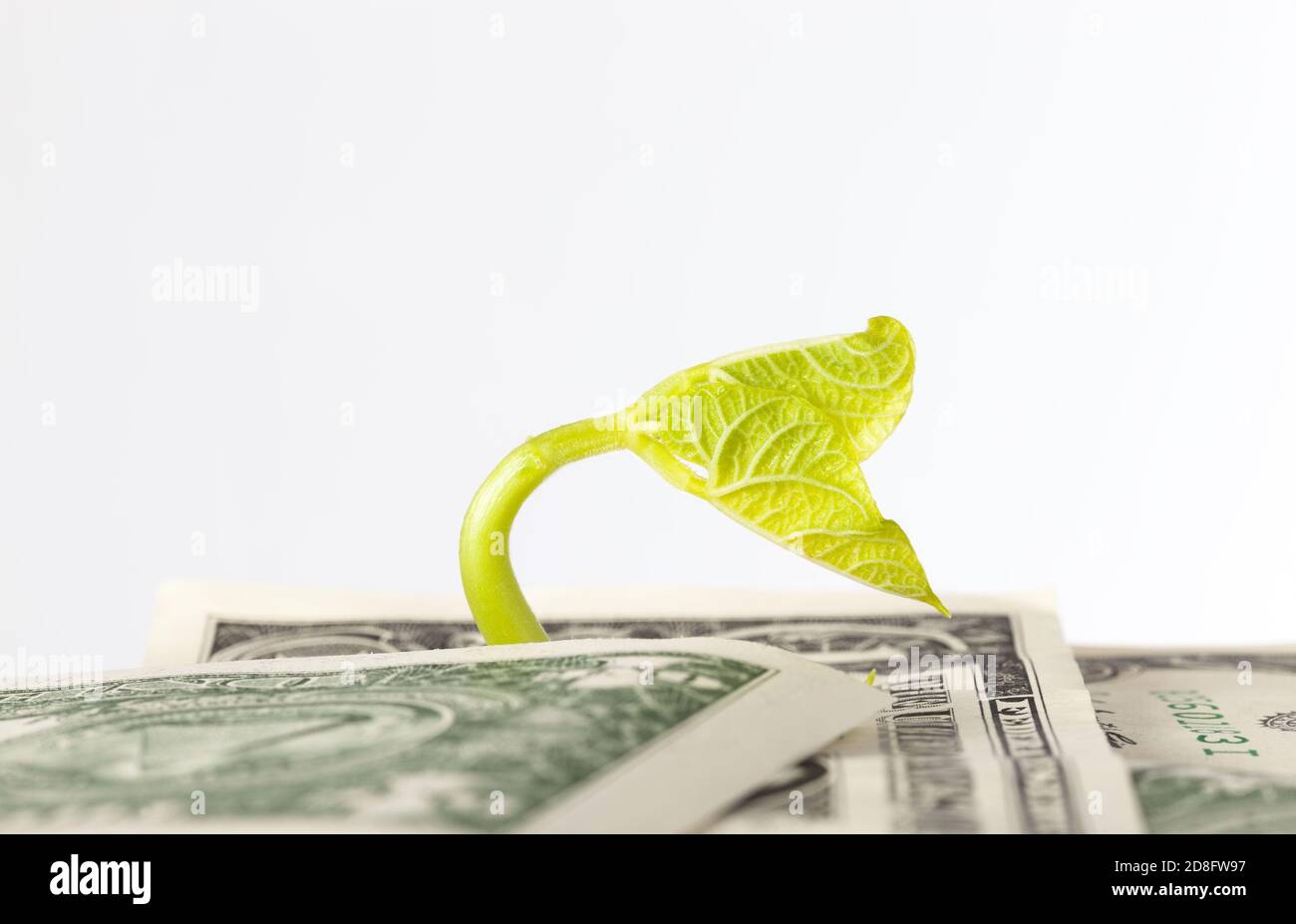 one us dollar paper money Stock Photo - Alamy