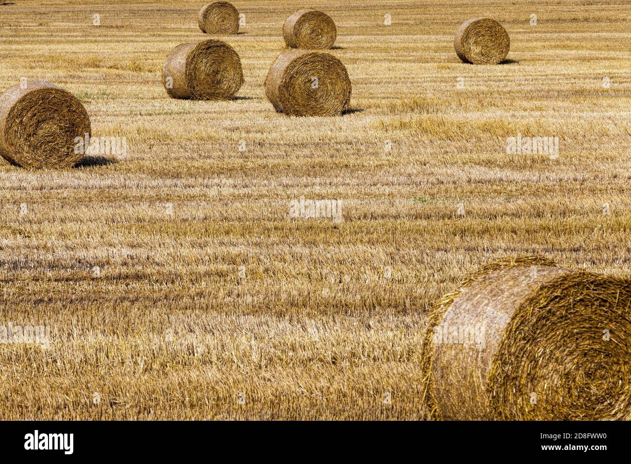 stubble and straw stacks Stock Photo - Alamy