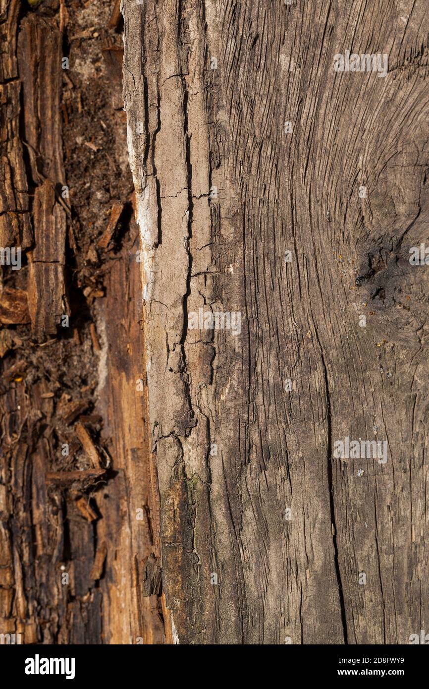 old wooden surface Stock Photo - Alamy