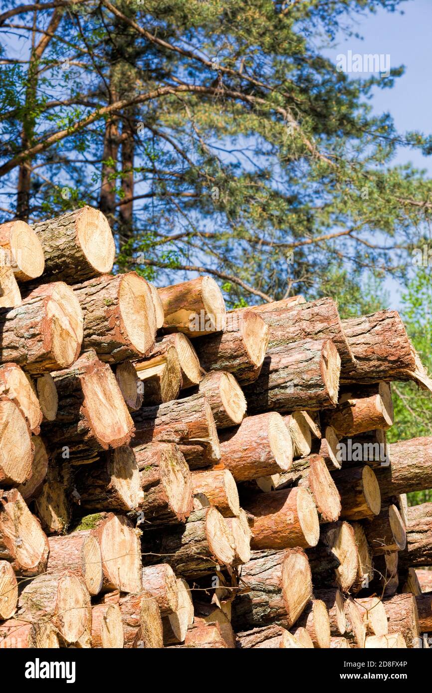 Logging scale hi-res stock photography and images - Alamy