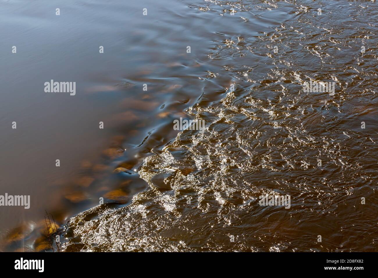 Dark pond of water plants hi-res stock photography and images - Alamy