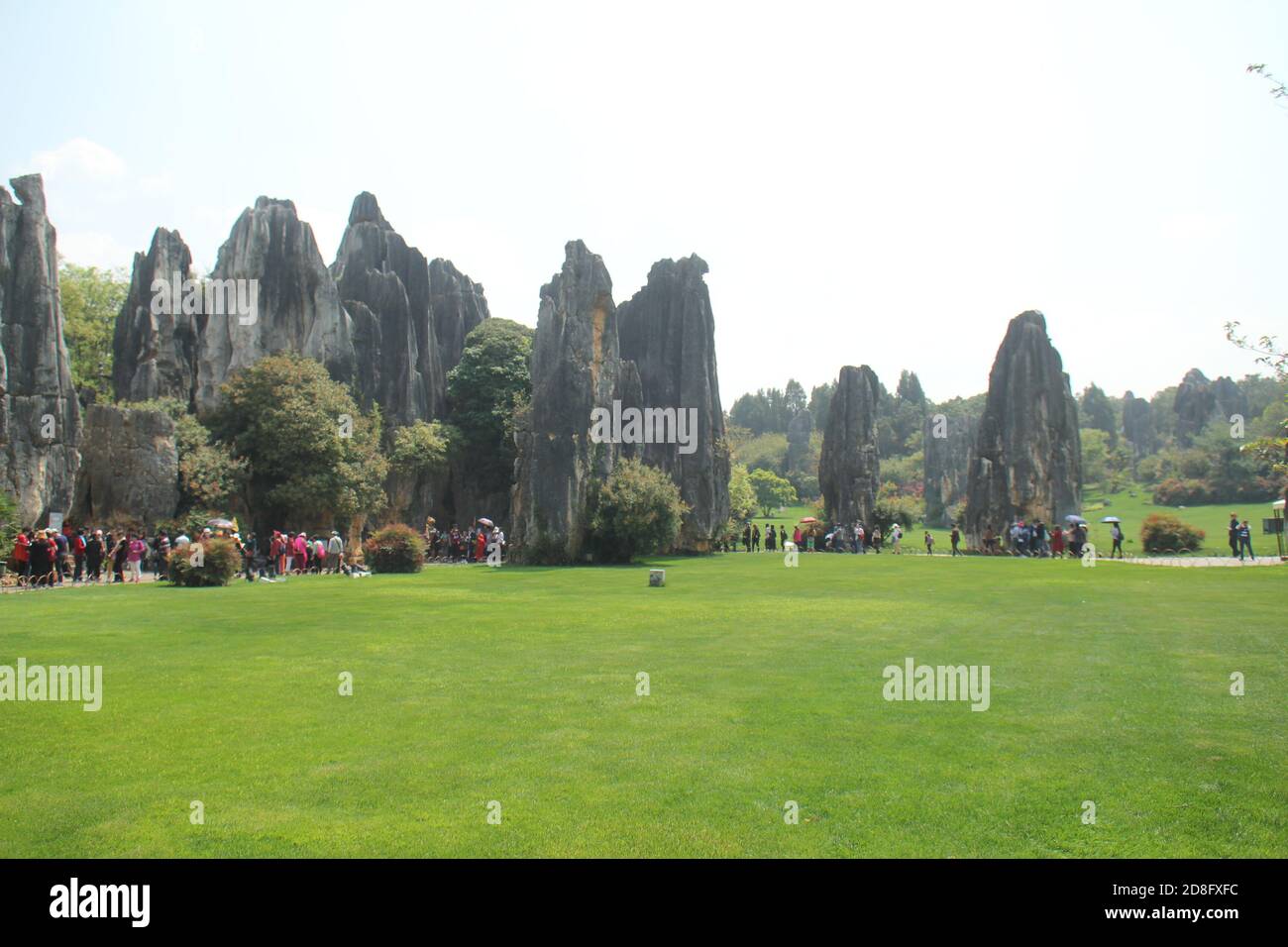 --FILE--The stone forest here formed 270 million years ago contains ...