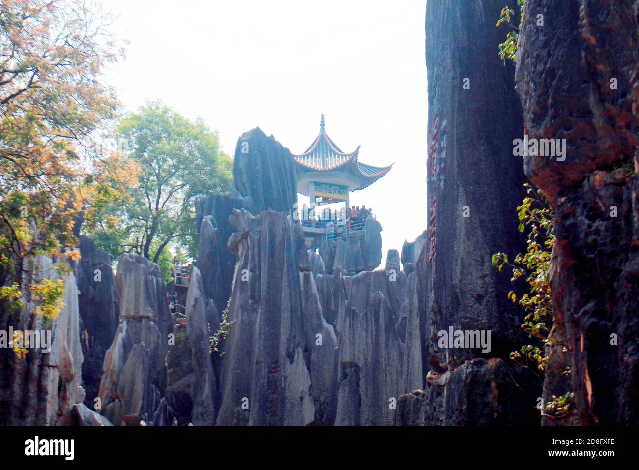 --FILE--The stone forest here formed 270 million years ago contains ...