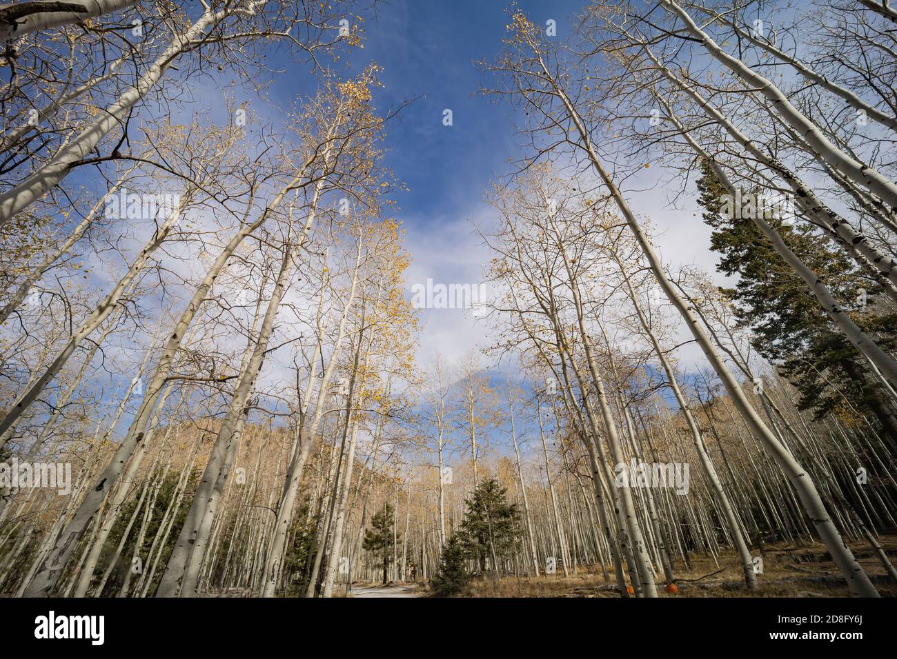 Inner basin hi-res stock photography and images - Alamy