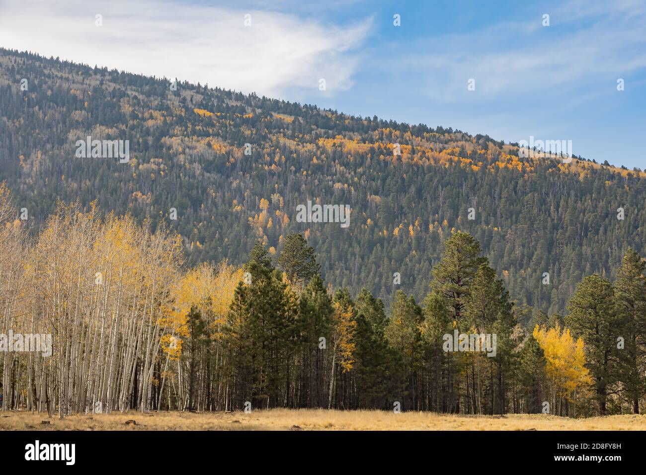 Inner basin hi-res stock photography and images - Alamy