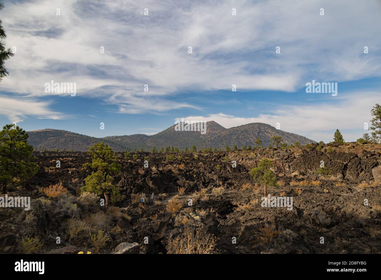 Special lava landscape of lava flow in Sunset Crater Volcano at ...
