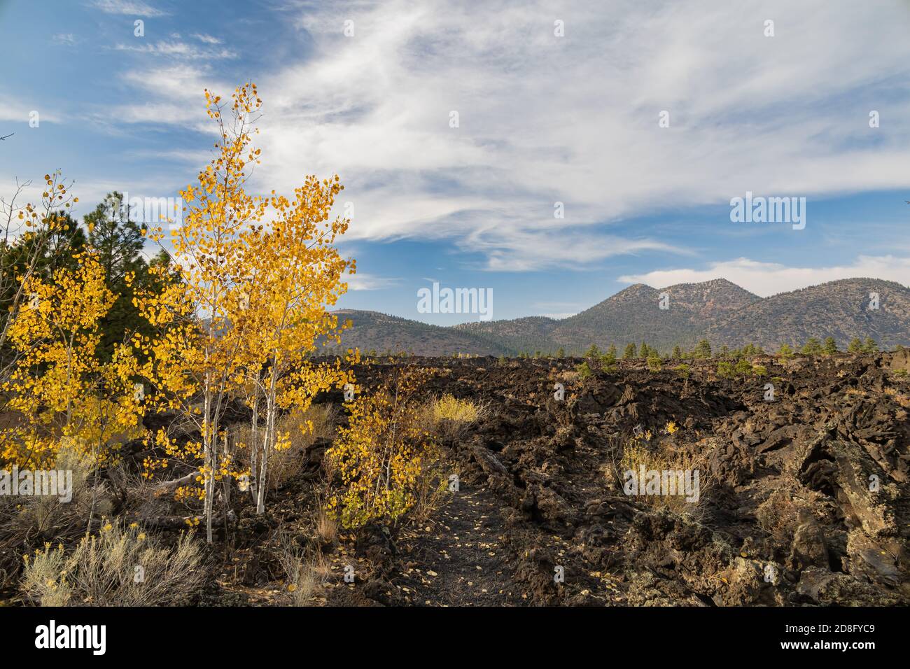 Special lava landscape of lava flow in Sunset Crater Volcano at ...