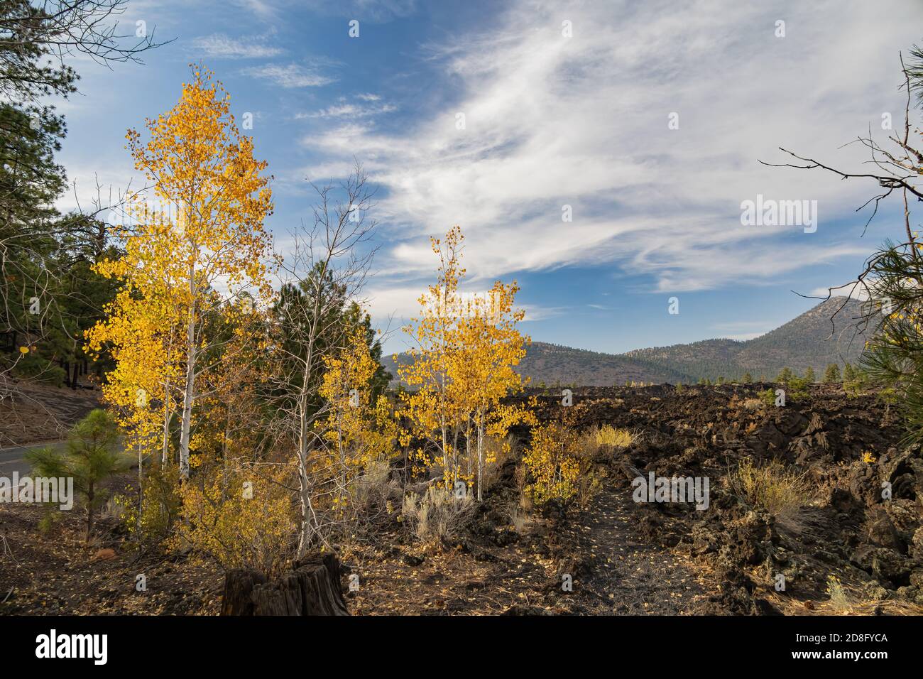 Special lava landscape of lava flow in Sunset Crater Volcano at ...