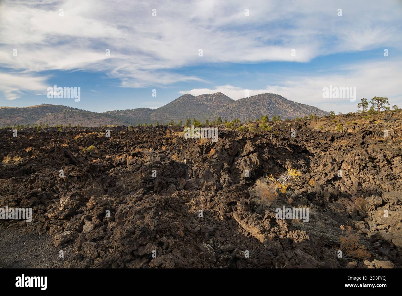 Special lava landscape of lava flow in Sunset Crater Volcano at ...
