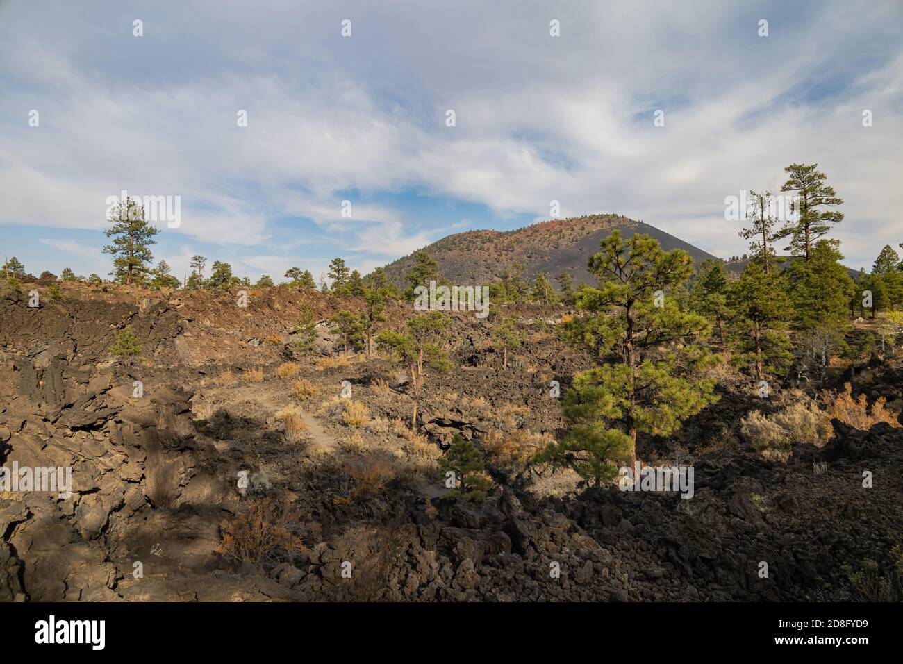 Special lava landscape of lava flow in Sunset Crater Volcano at ...
