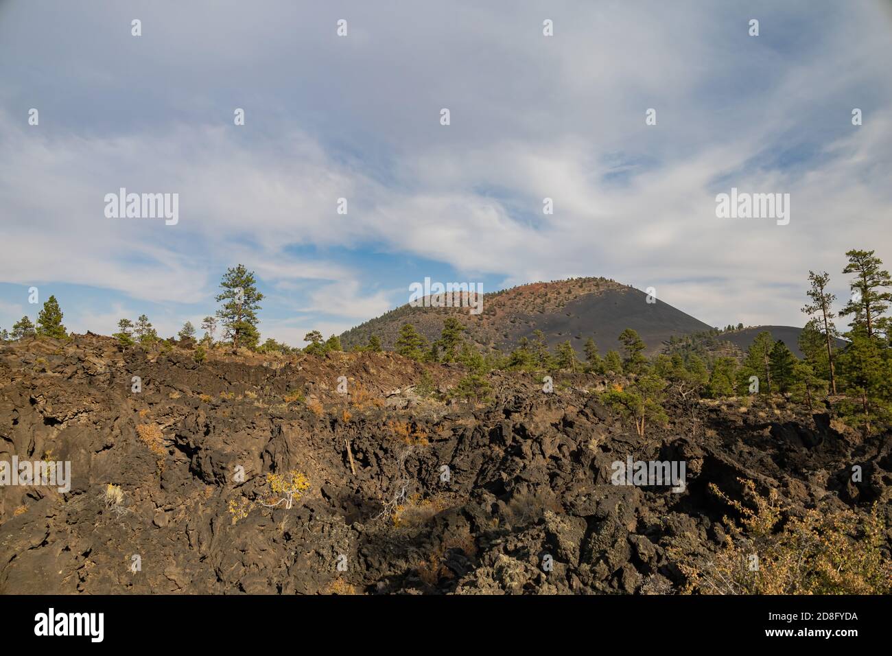 Special lava landscape of lava flow in Sunset Crater Volcano at ...