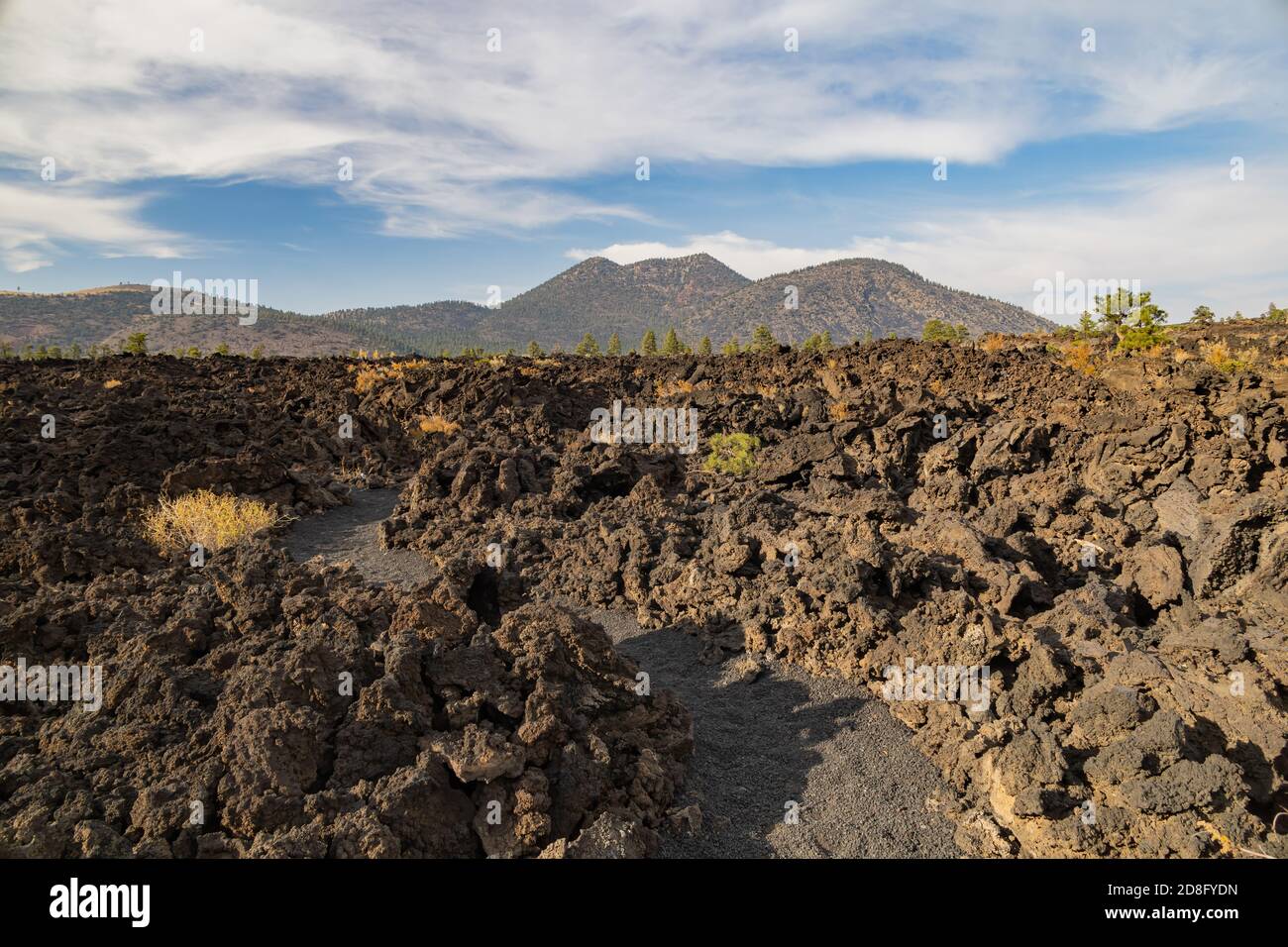 Special lava landscape of lava flow in Sunset Crater Volcano at ...