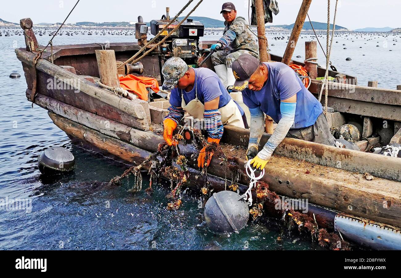 Aerial view of fishermen sailing a boat and fishing at the water aera ...