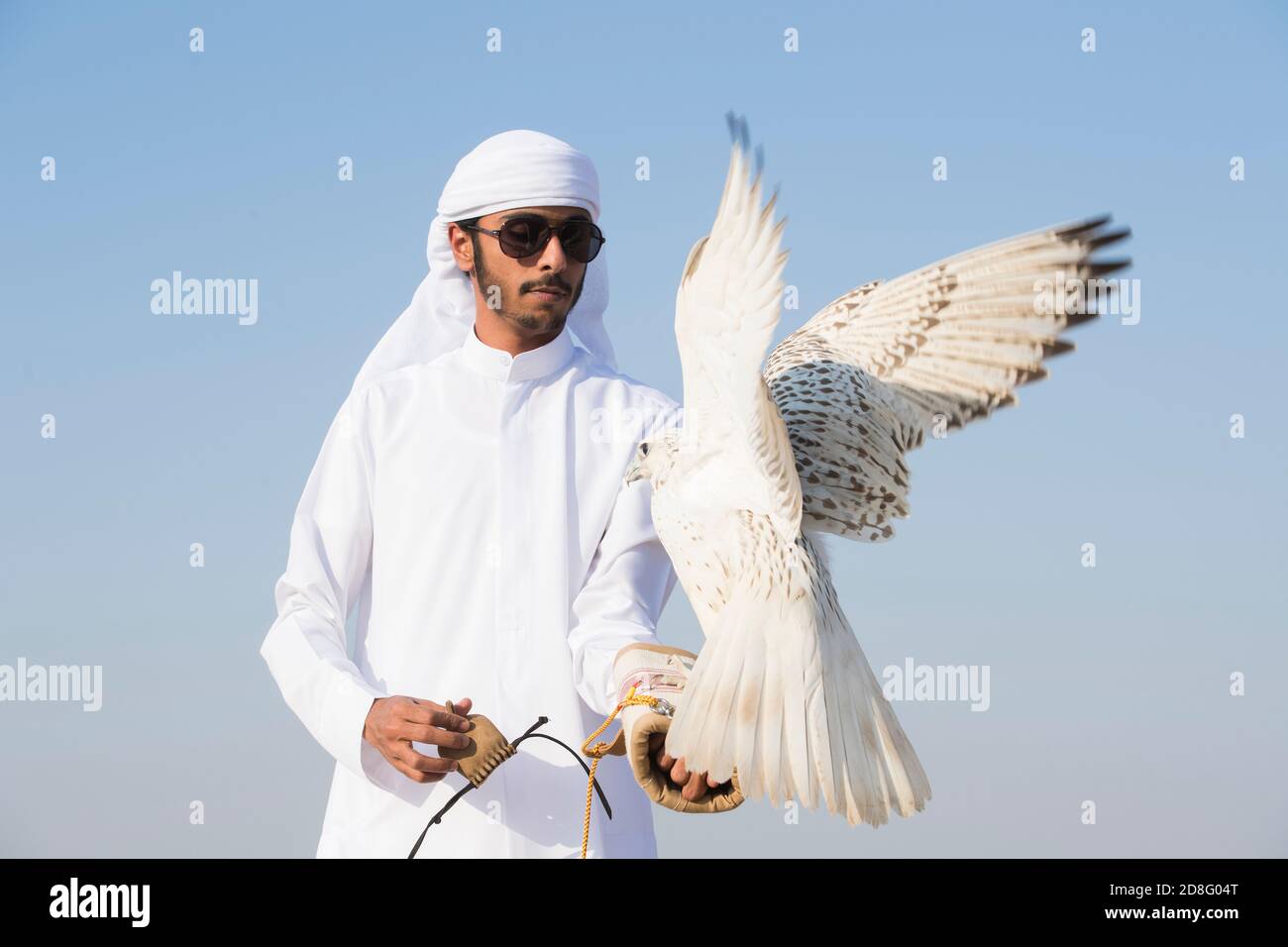 Falconry – Traditional sport of the UAE and heritage symbol Stock Photo ...