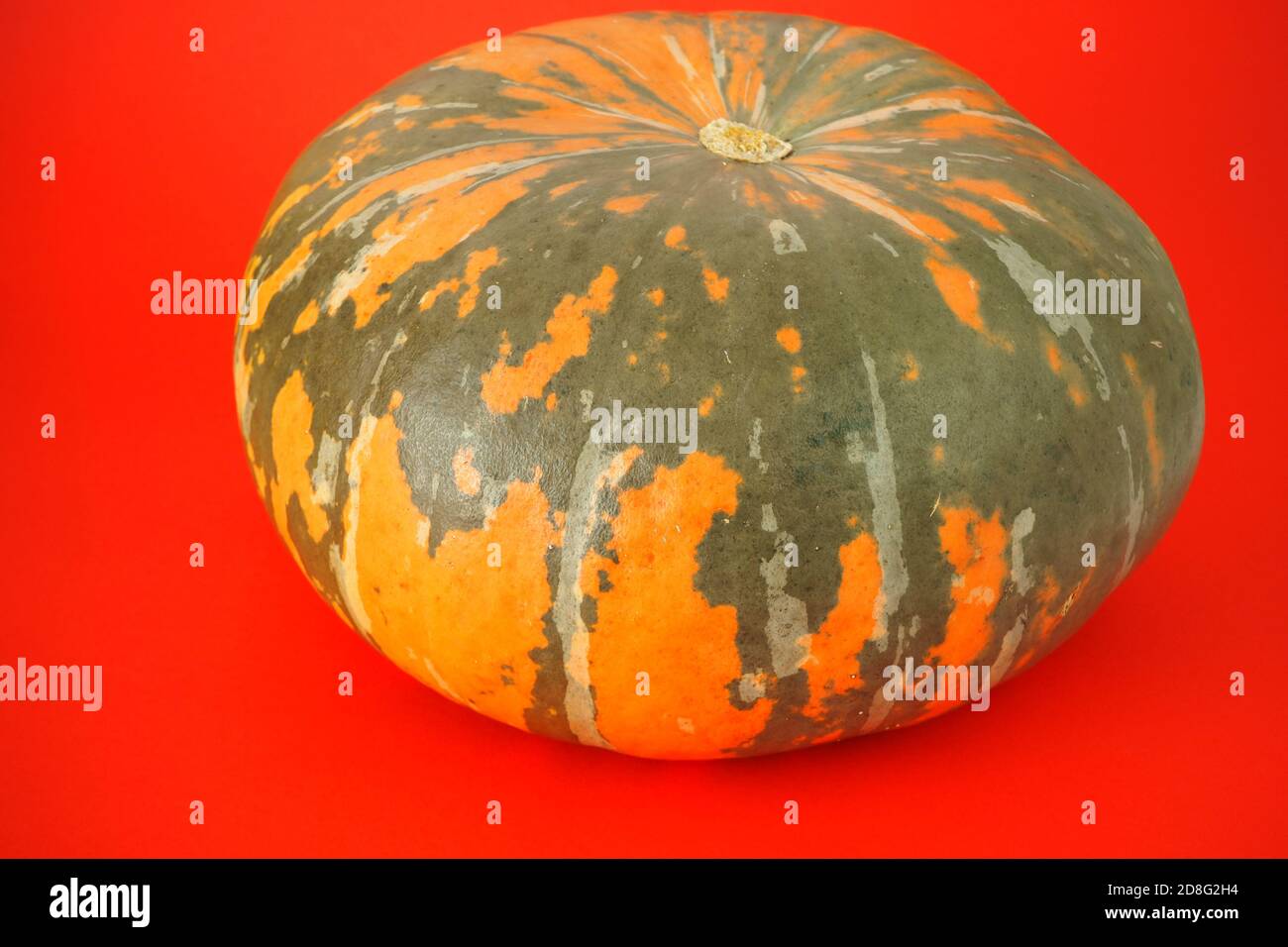 Background ripe orange pumpkin hi-res stock photography and images - Alamy