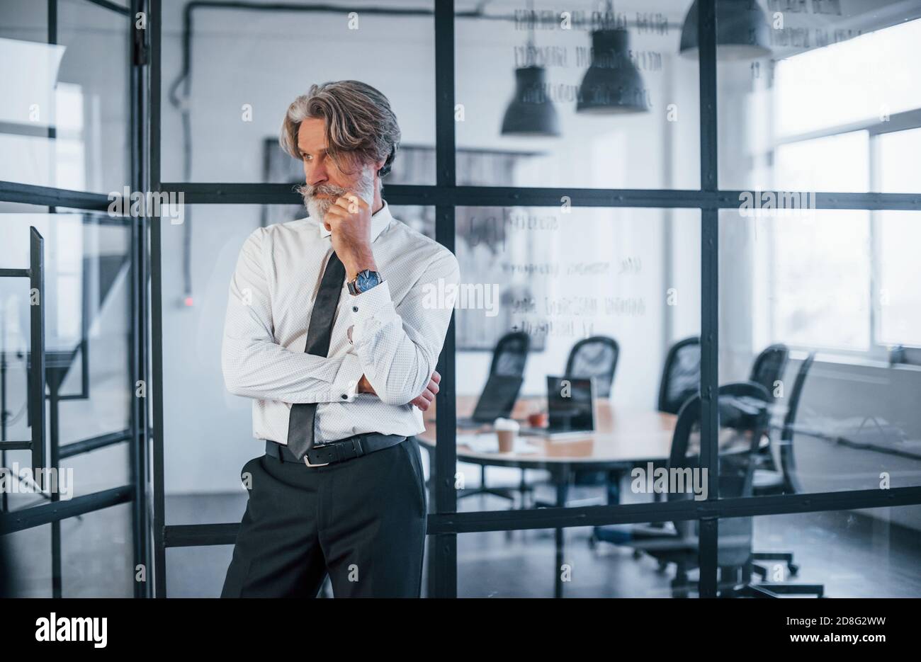 Mature businessman grey hair beard hi-res stock photography and images ...