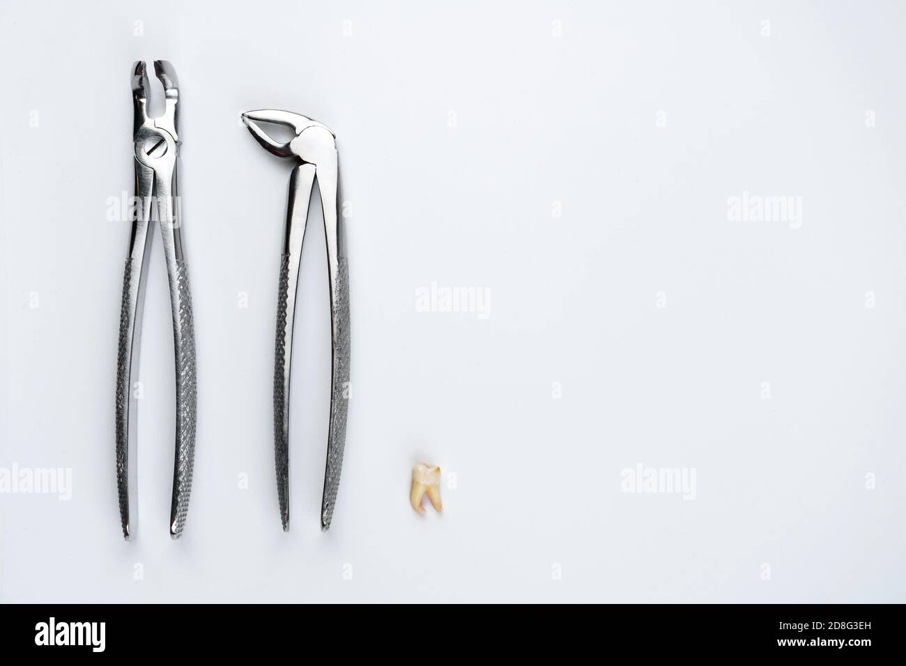 Image of two dental forceps with tooth on isolated white background ...