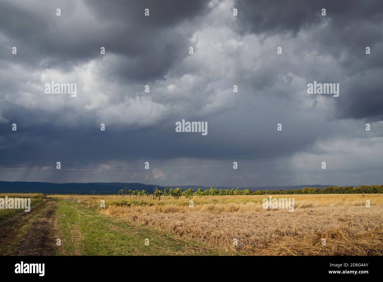 Fields Of Oats High Resolution Stock Photography and Images - Alamy