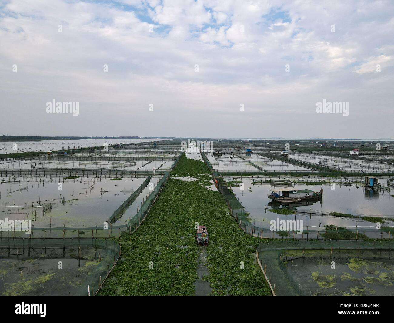 Yangcheng lake hi-res stock photography and images - Alamy