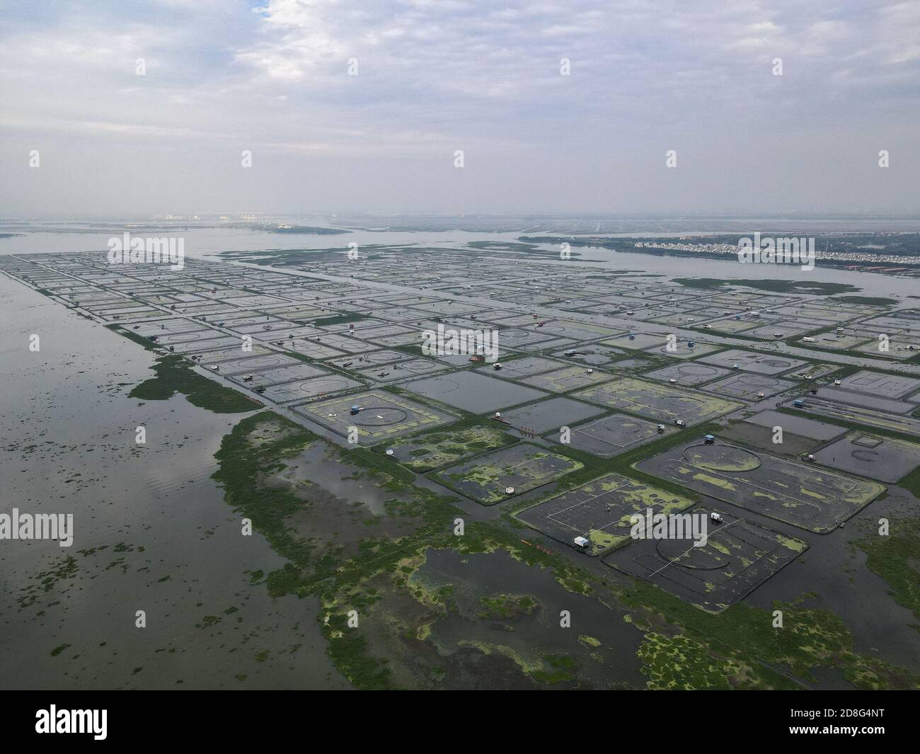 Aerial view of a crab raising base at Yangcheng Lake in Suzhou city ...