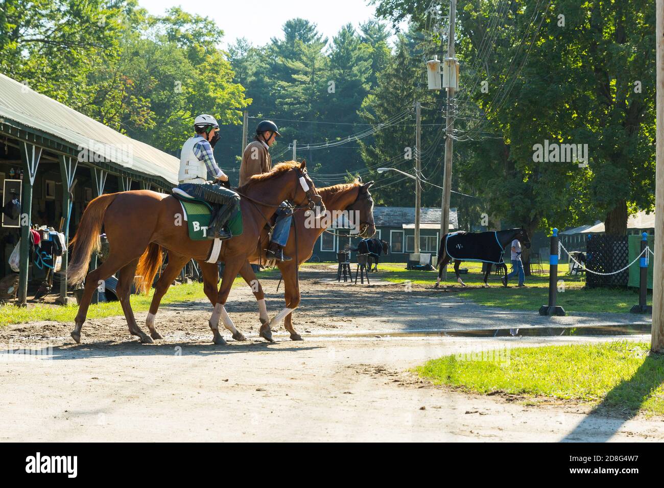 Horseback riding in a stable before the Saratoga horse race. Beautiful ...
