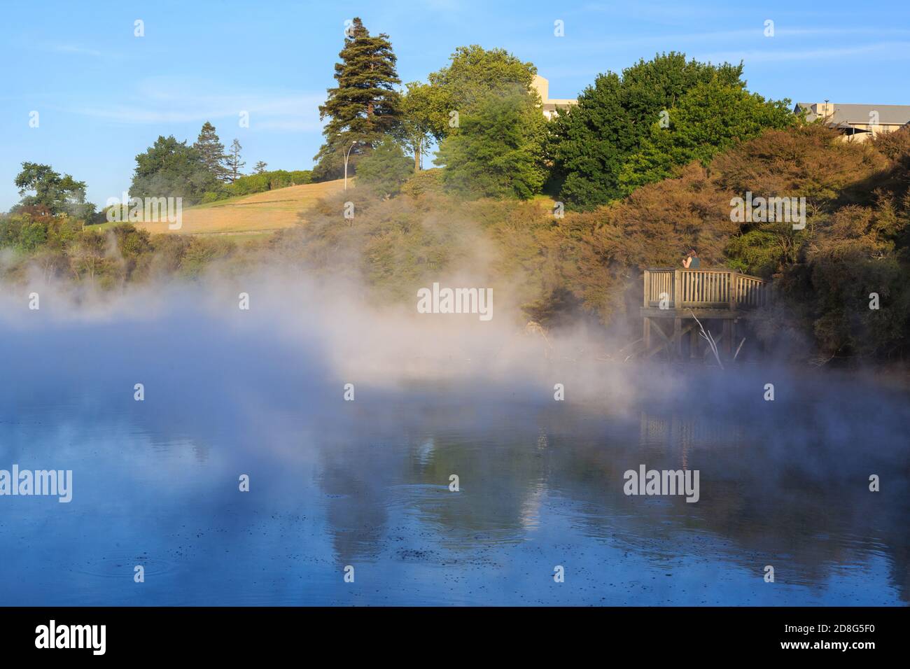 Steam rising from a geothermal hot pool in Kuirau Park, Rotorua, New ...
