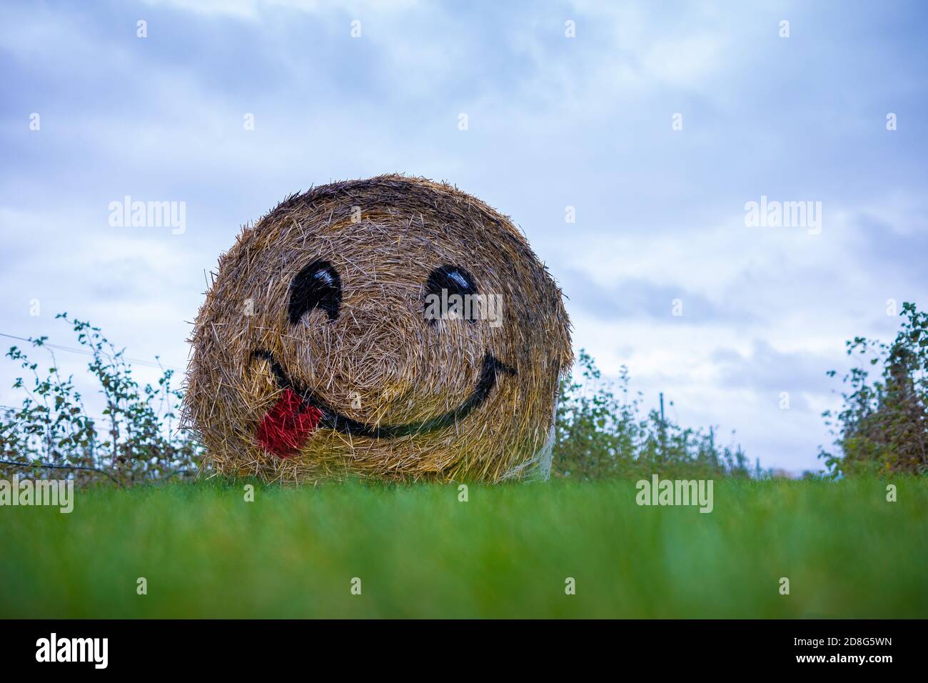 Ronnenberg, Germany. 30th Oct, 2020. A bale of straw decorated with a ...